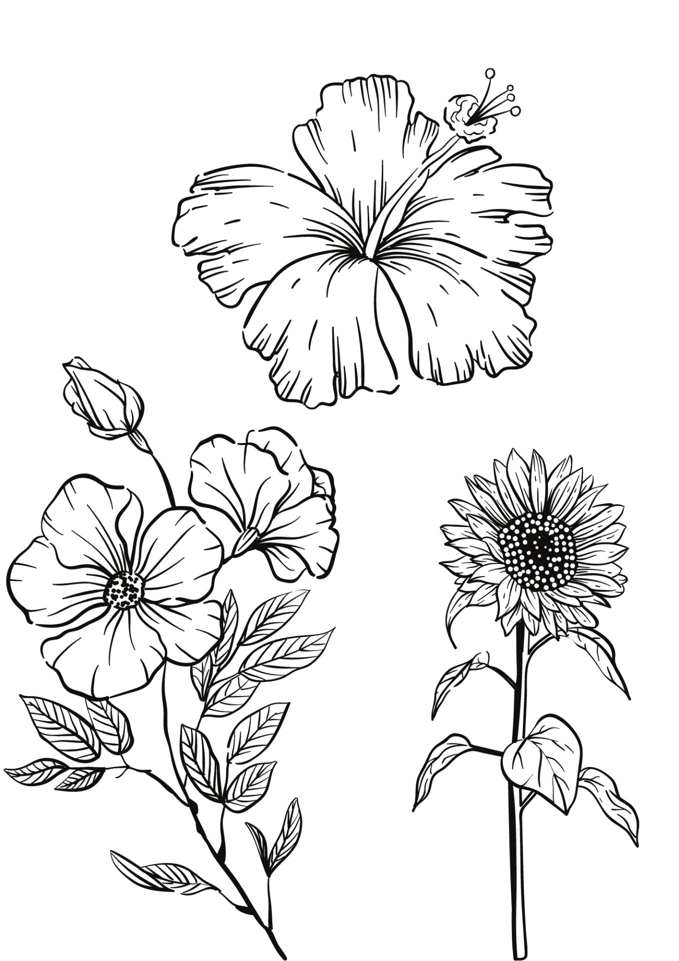40 Printable Flower Coloring Pages - Printaboles