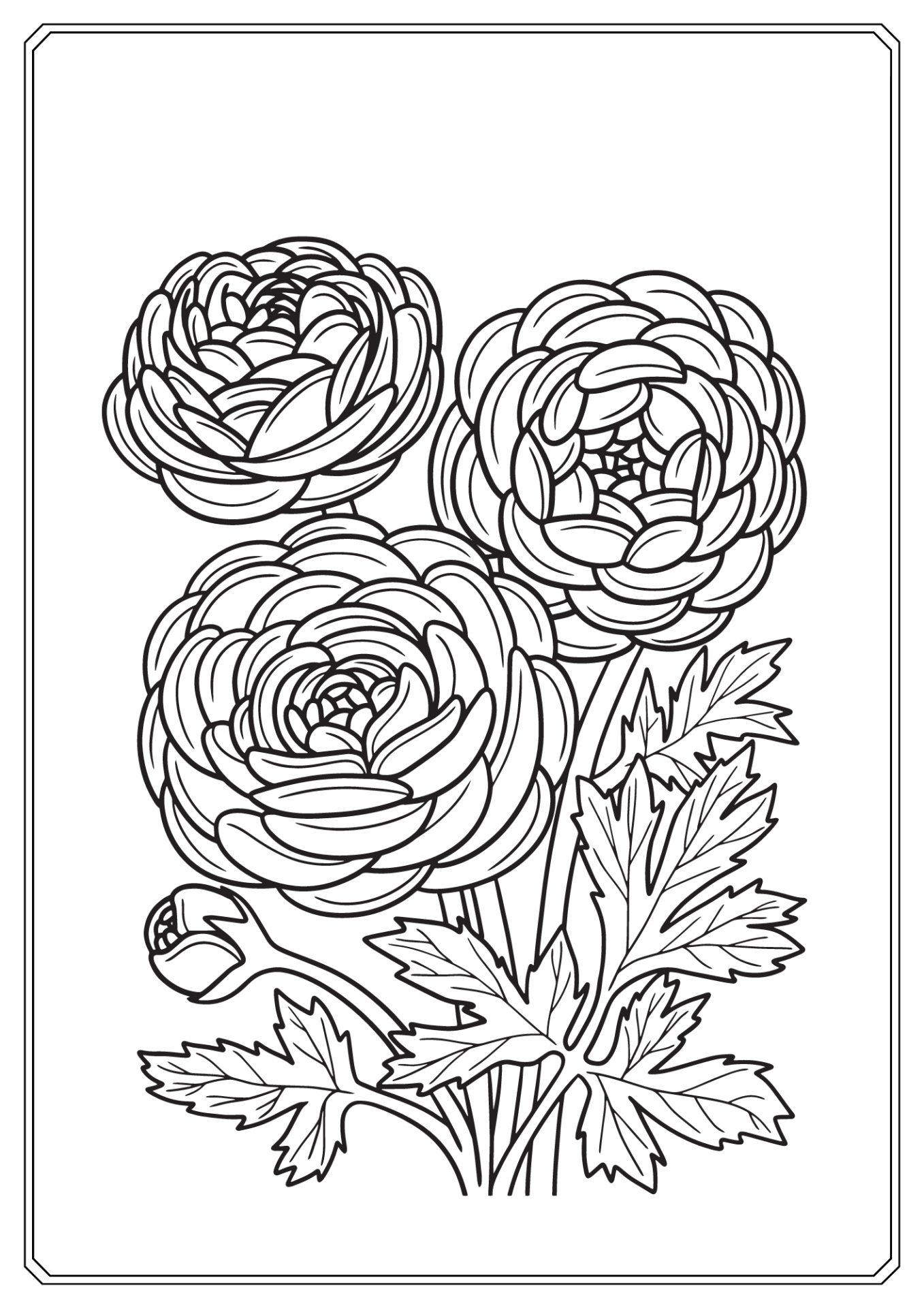 40 Printable Flower Coloring Pages - Printaboles