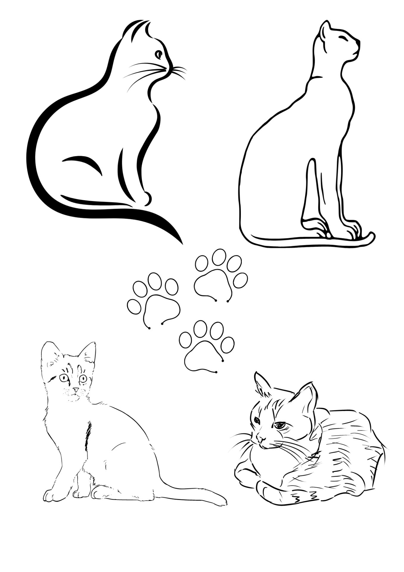 40 Free Printable Cat Coloring Pages - Printaboles
