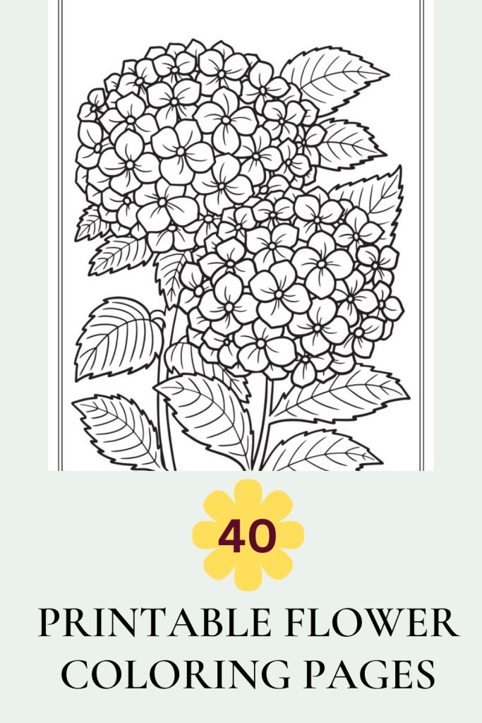 40 Printable Flower Coloring Pages - Printaboles