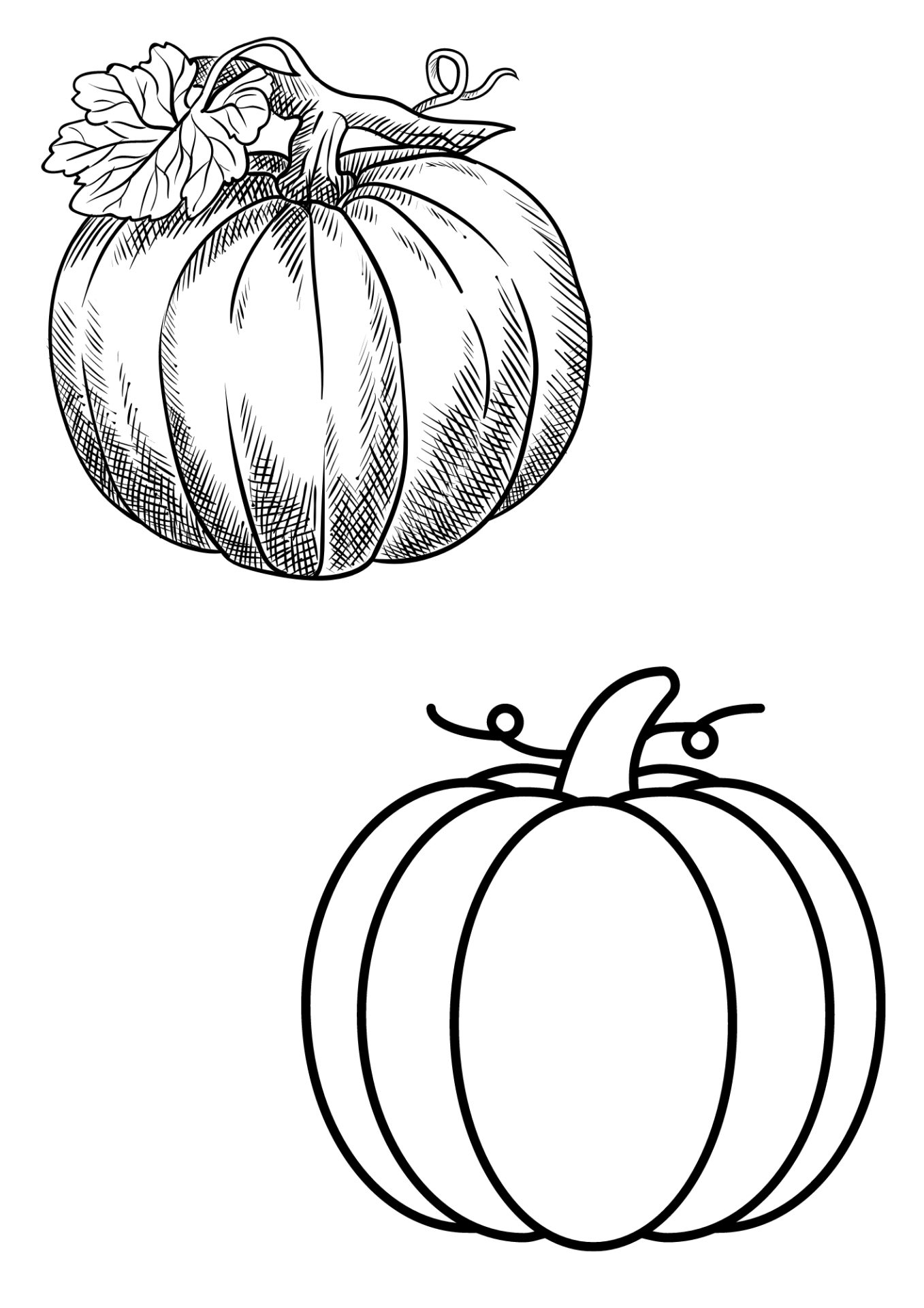 40 Free Printable Pumpkin Coloring Pages - Printaboles