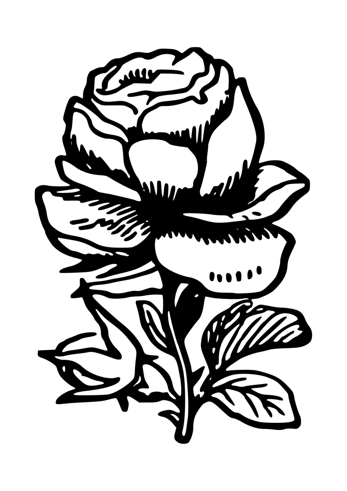 40 Free Printable Rose Coloring Pages - Printaboles