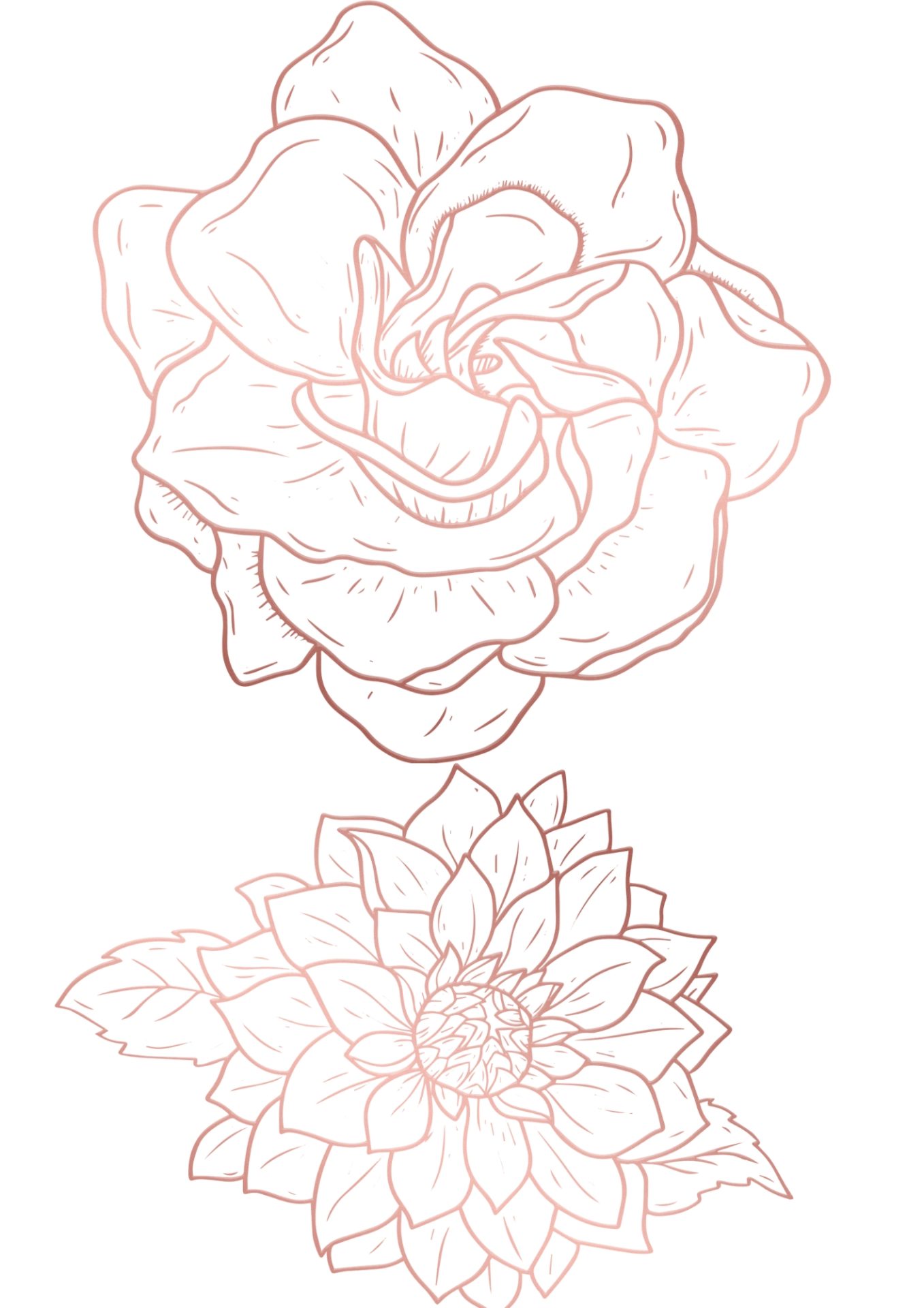 40 Free Printable Rose Coloring Pages - Printaboles