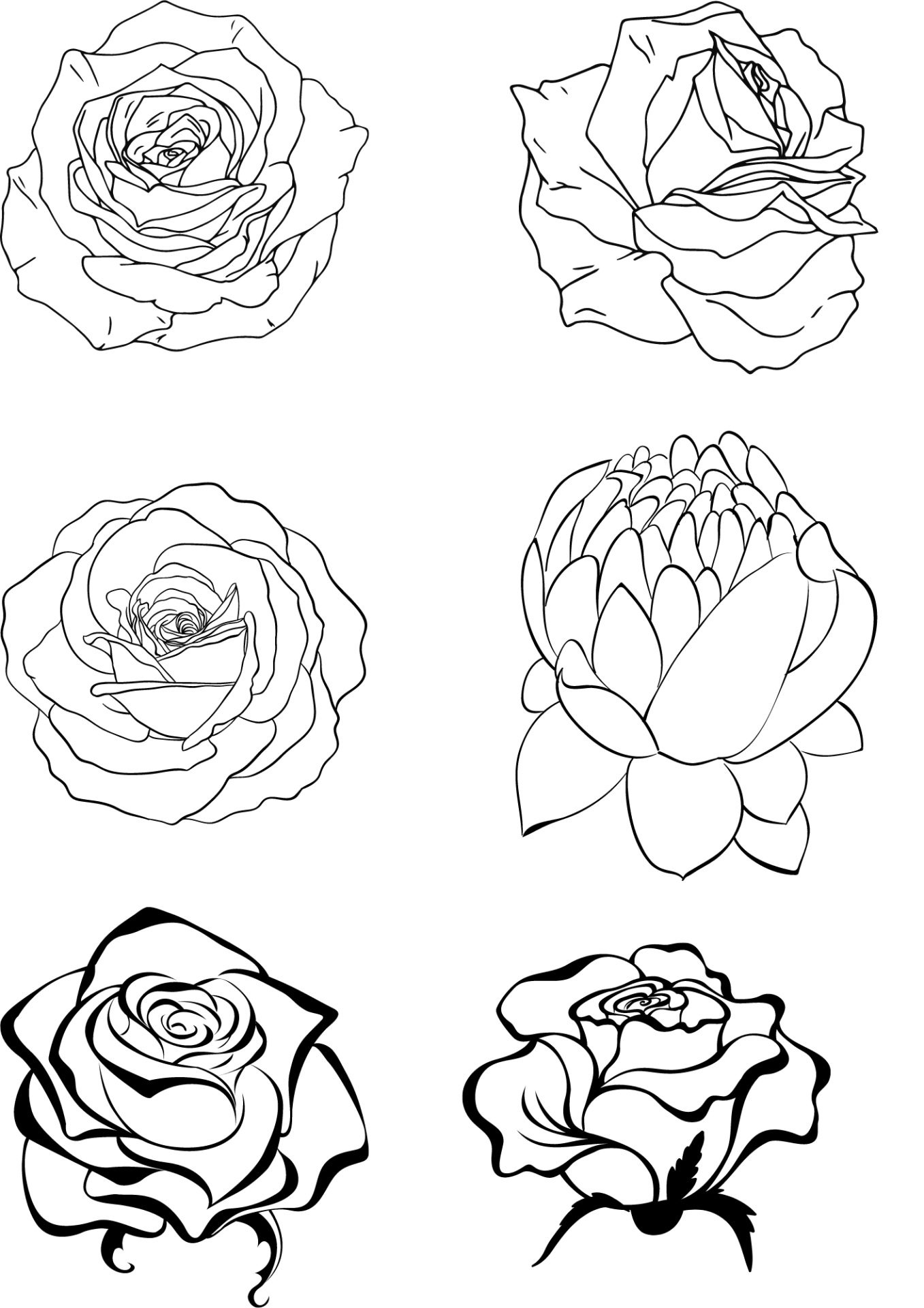 40 Free Printable Rose Coloring Pages - Printaboles